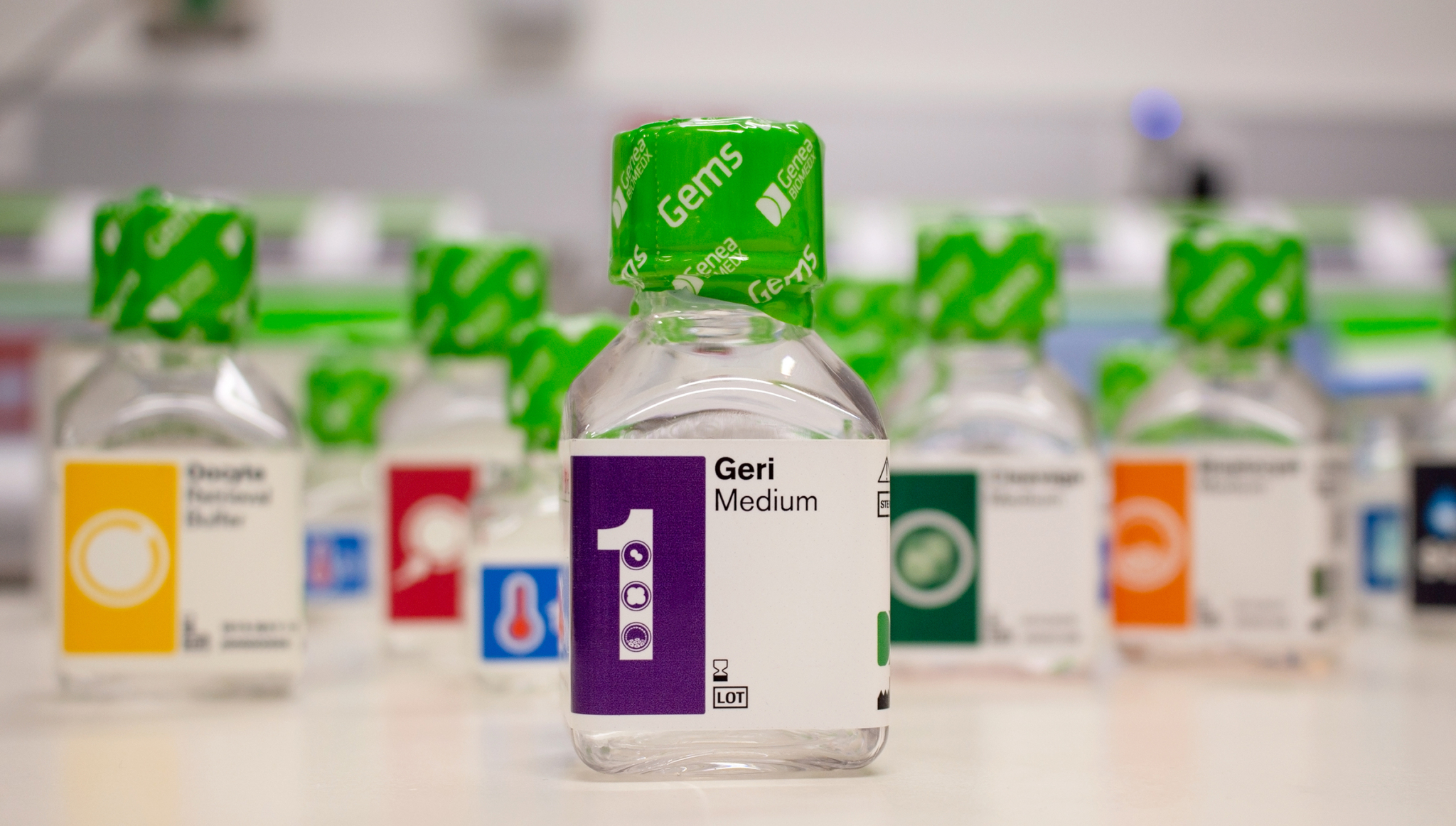 Embryo Culture Media for IVF: Sequential vs. One-Step Media - Genea Biomedx